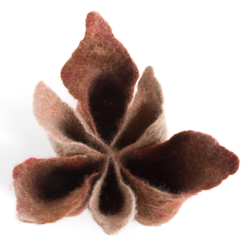 Gallery | Tasha Miller Griffith